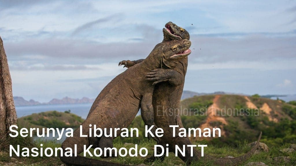Serunya Liburan ke Taman Nasional Komodo di NTT